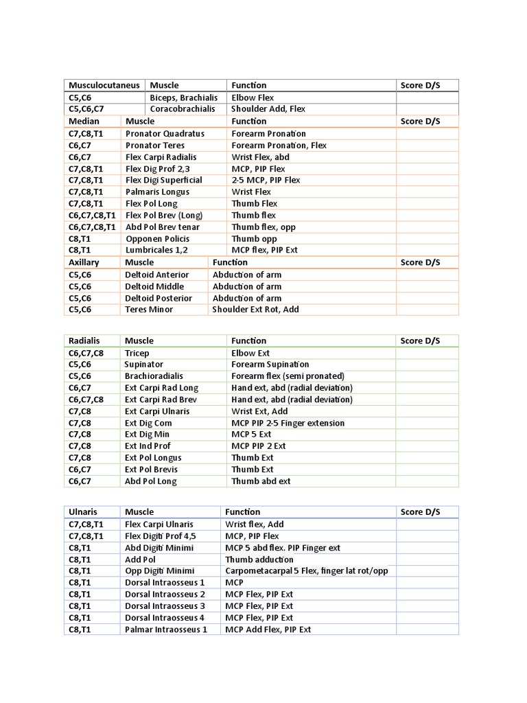 BPI Muscle Test For Poli 1 | PDF | Anatomical Terms Of Motion | Arm