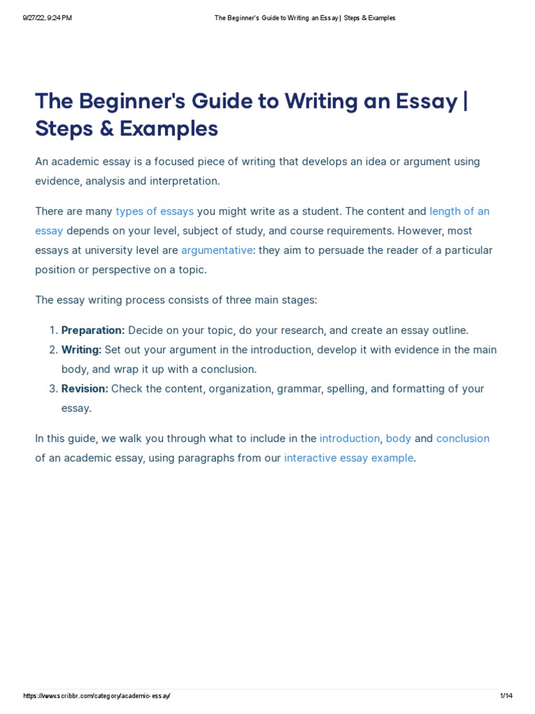 The Beginner's Guide To Writing An Essay - Steps & Examples | PDF ...
