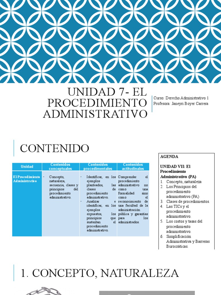 07-Procedimiento Administrativo JBC VF | PDF | Acero | Ciencias Políticas