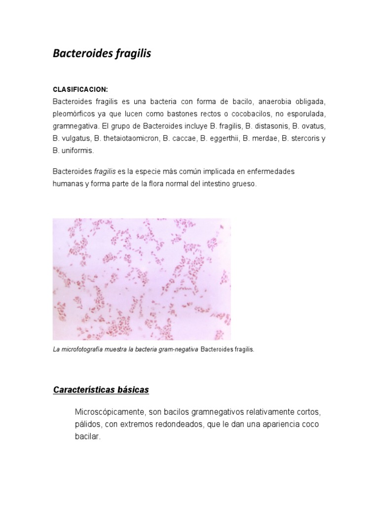 Bacteroides Fragilis | PDF | Diarrea | Infección