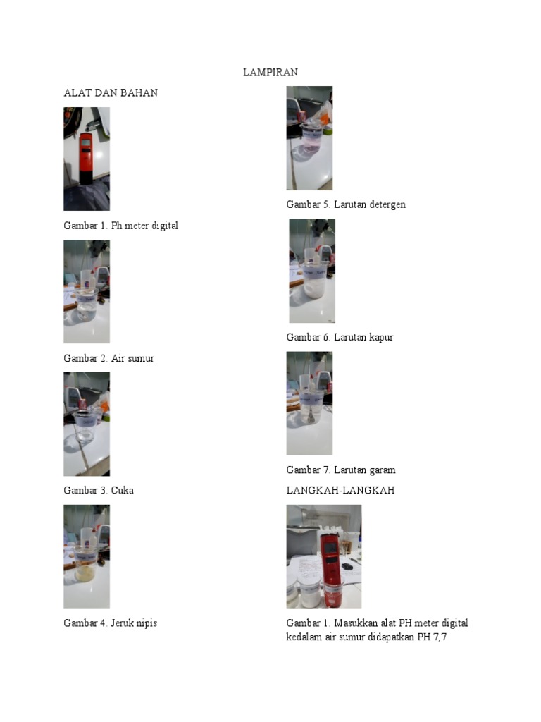 Mengukur pH Bahan Alam dan Detergen Menggunakan Indikator Lakmus | PDF