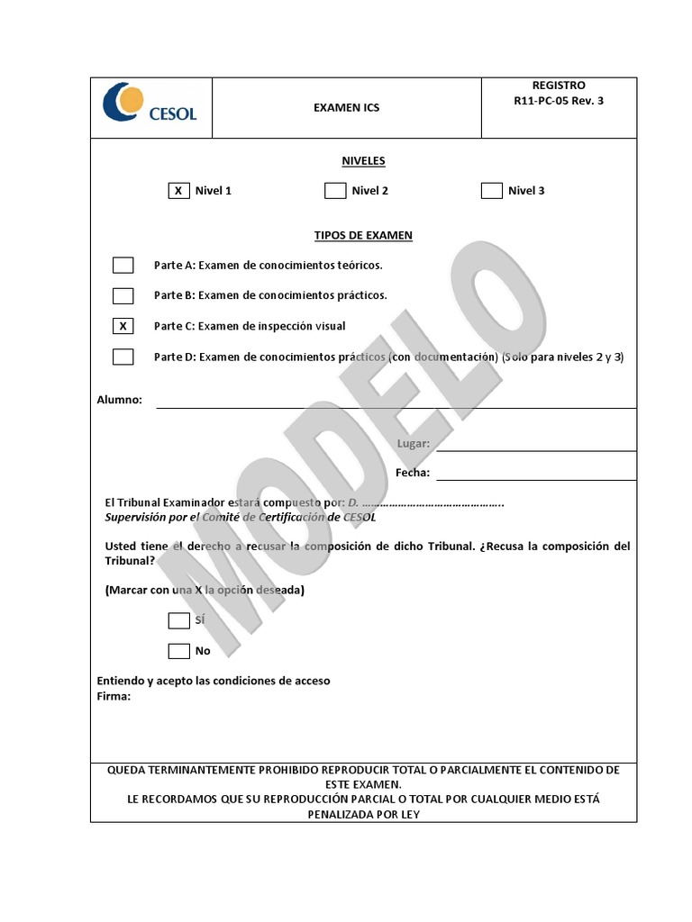 ICS 1 Parte C MODELO | PDF