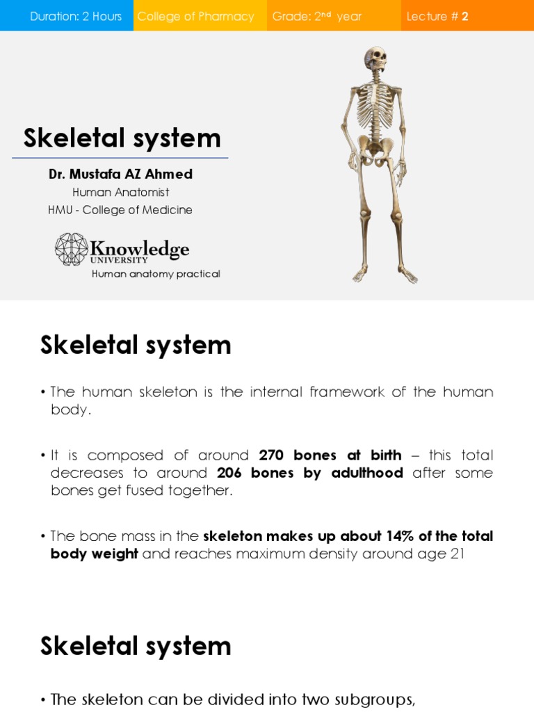 2 Skeletal System P Pdf