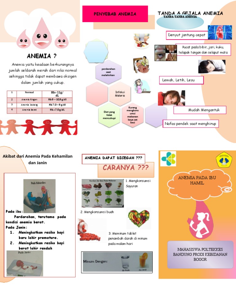 Leaflet Anemia FIX | PDF