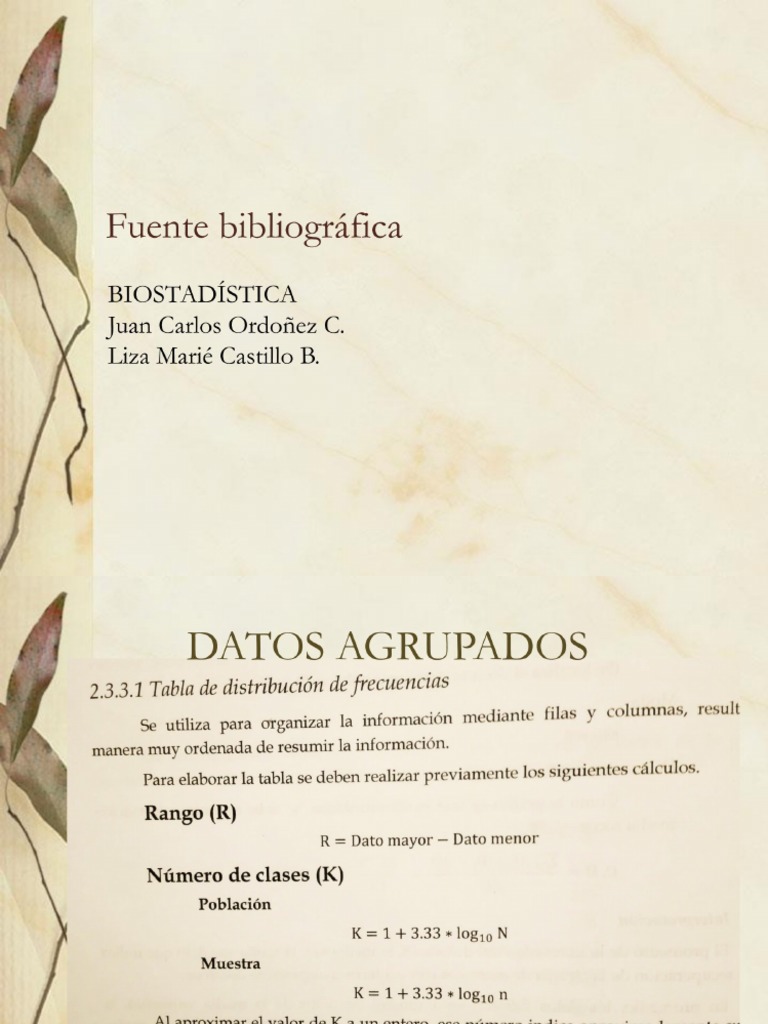 Presentación Datos Agrupados | PDF