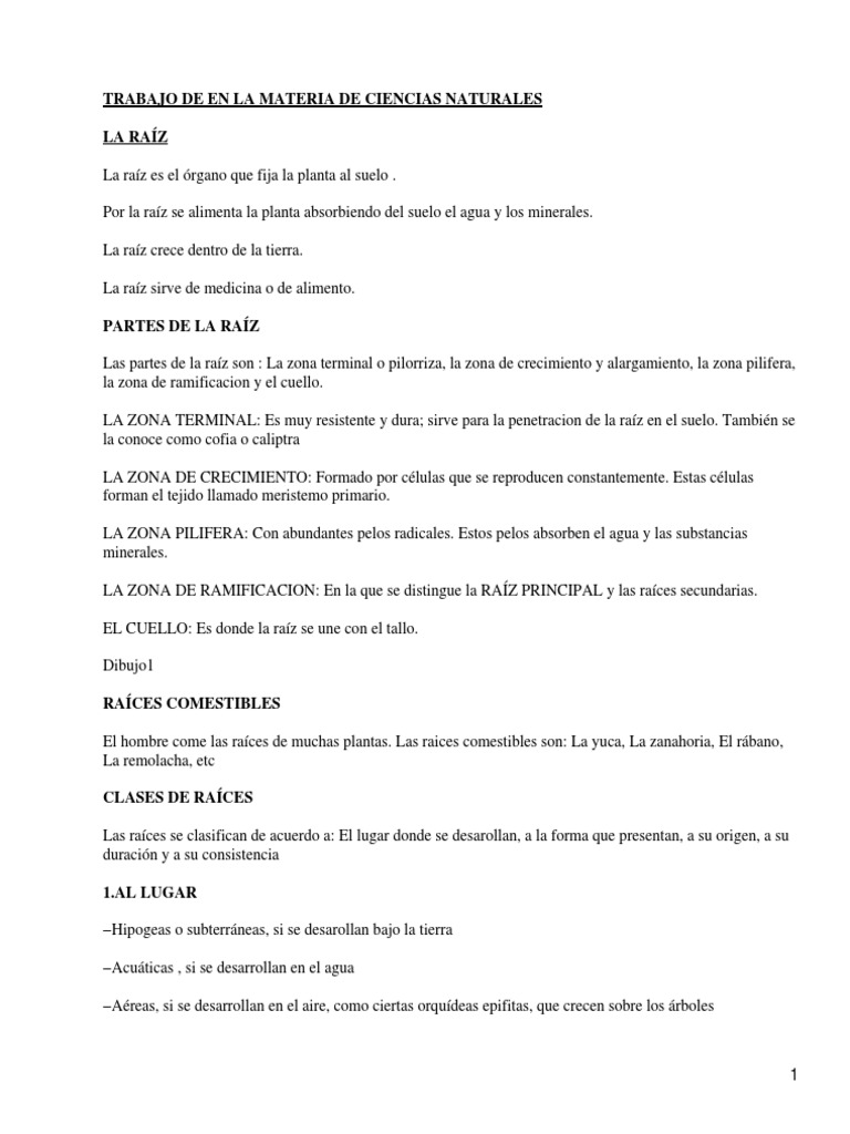 Anatomia de Los Arboles | PDF