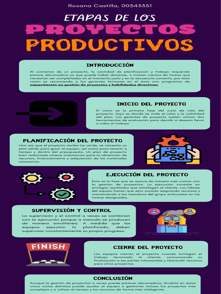 Proyectos Productivos | PDF | Gestión de proyectos | Economias