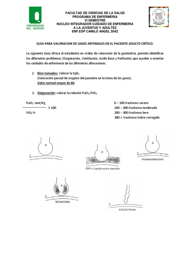 Guia para La Interpretacion de Gases Arteriales | Descargar gratis PDF ...