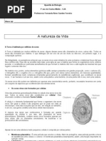 Mapa Mental - Angiospermas 1 - Biologia | PDF