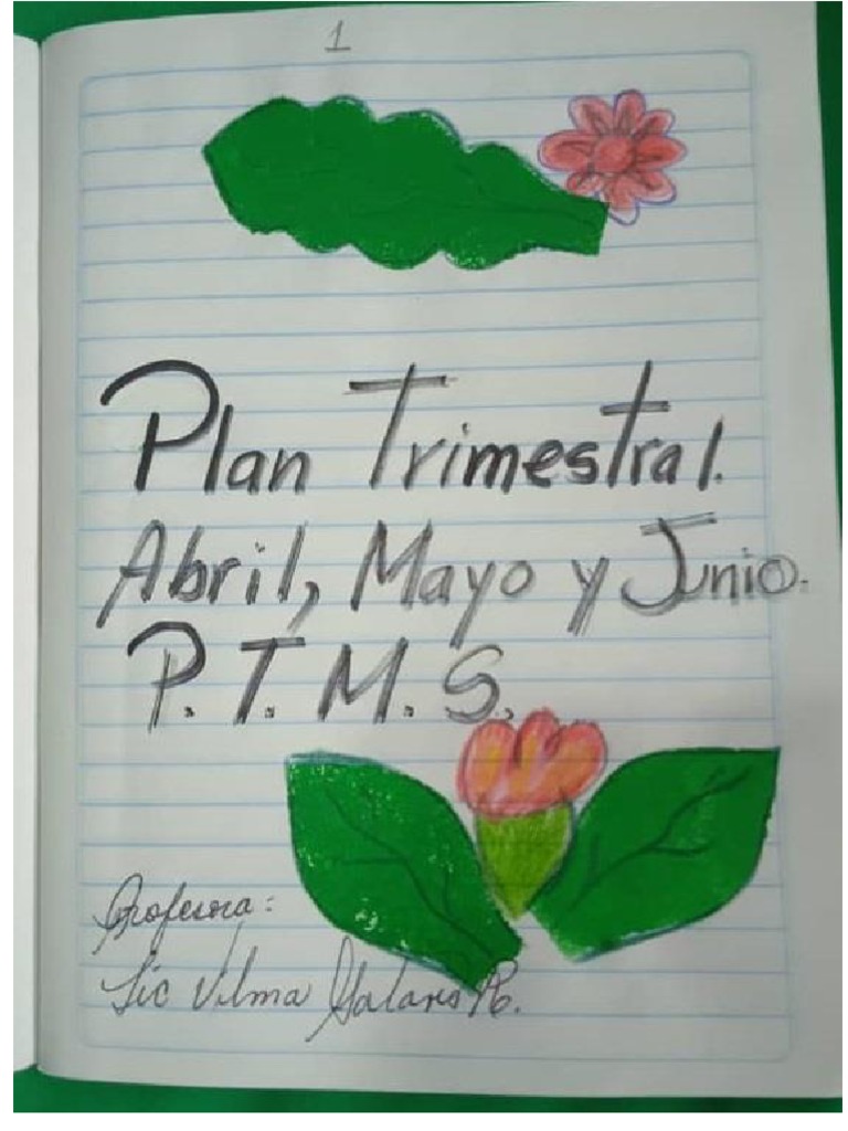 II Proyecto Ptms | PDF