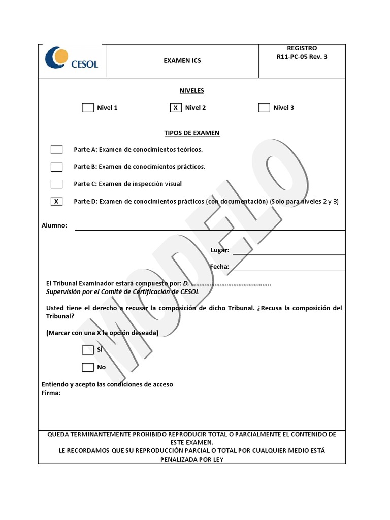 ICS 2 Parte D MODELO | PDF
