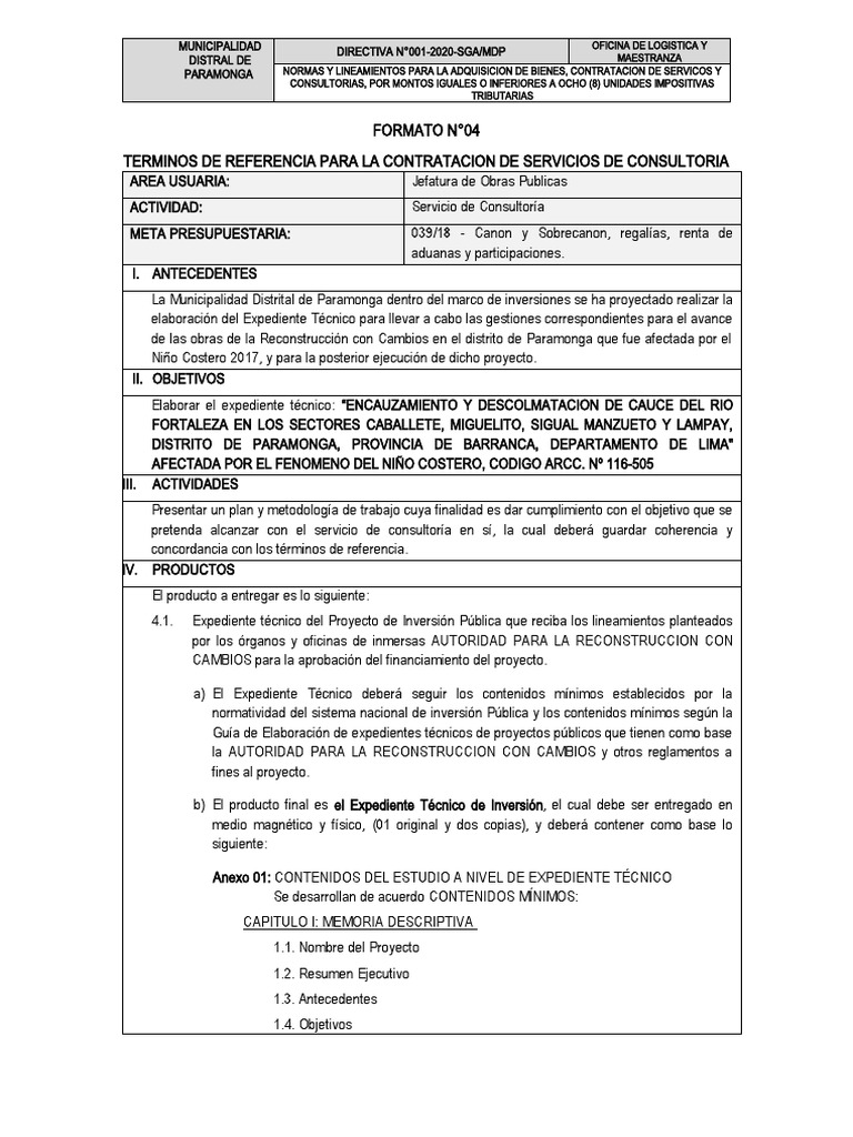 Formato TDR para Consultoria - Encauzamiento y Descolmatacion - Arcc | PDF