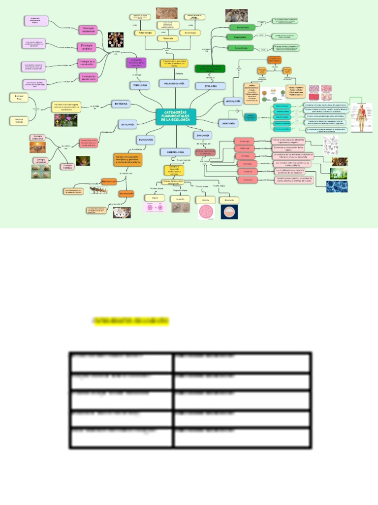 Mapa Conceptual Merged | PDF | Biología | Organismos