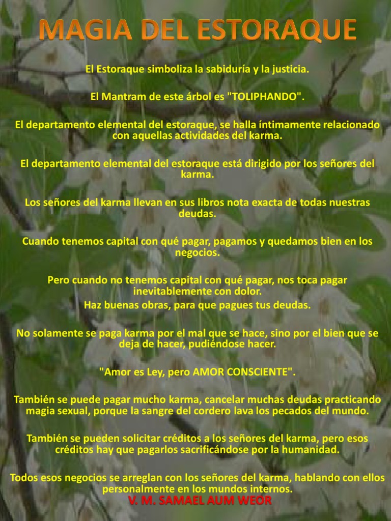 Magia Del Estoraque | PDF