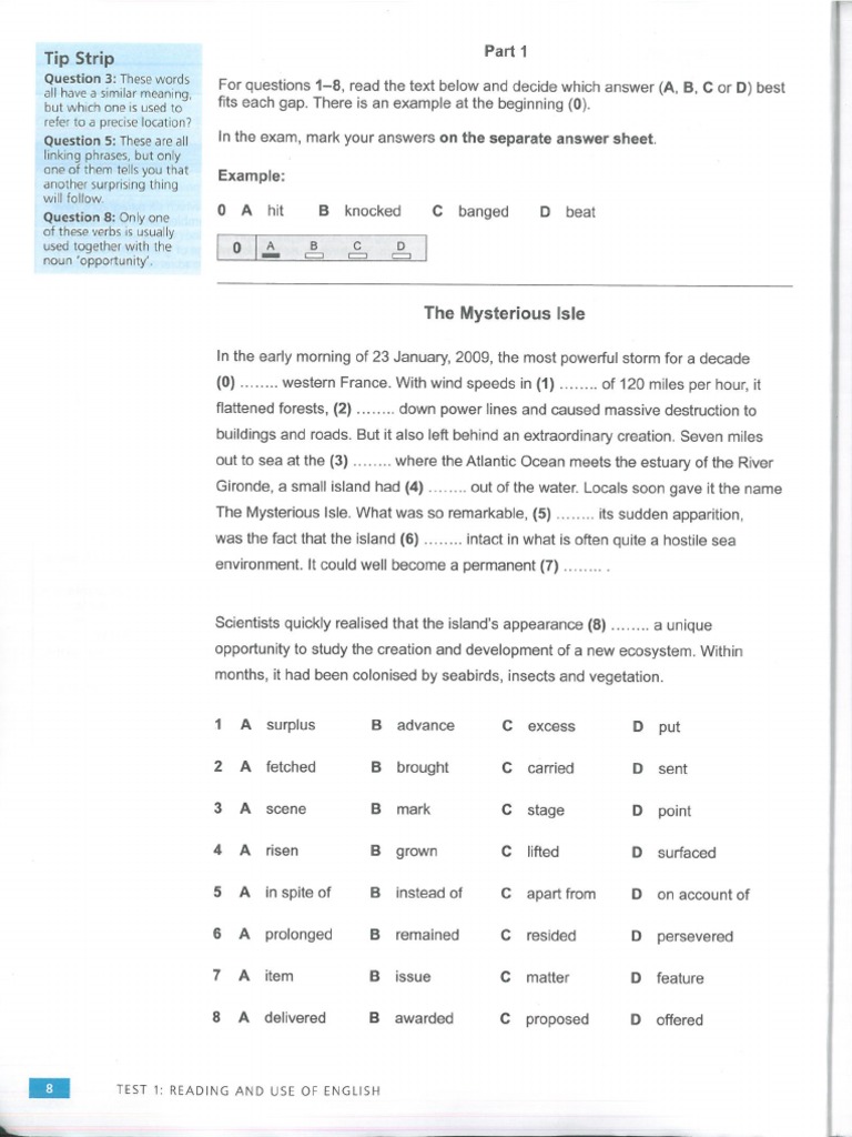 Test Reading CAE | PDF