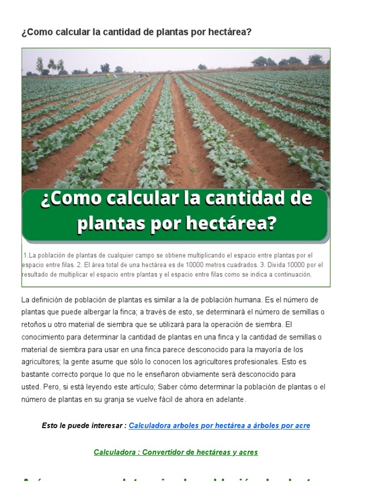 Calculo Cantidad de Plantas Por Hectarea | PDF | Siembra | Agricultura