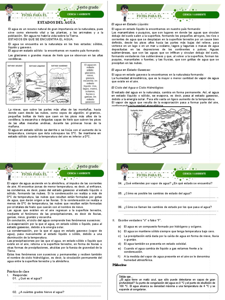 Ficha Ciencia - Estados Del Agua | PDF | Agua | El ciclo del agua