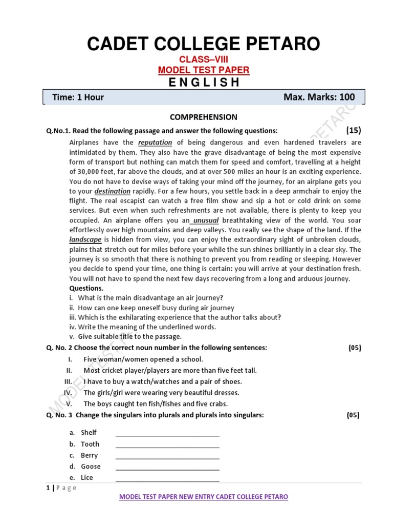 English Model Test Paper Viii | PDF | Grammatical Number | Syntax