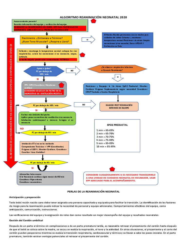 Algoritmo Reanimación Neonatal 2020 | PDF | Reanimación cardiopulmonar ...