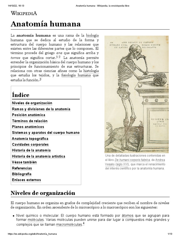 Anatomía Humana - Wikipedia, La Enciclopedia Libre | PDF | Sistema ...