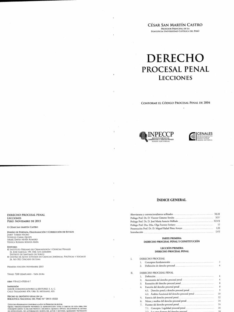Libro Procesal Penal - Cesar San Martin | PDF