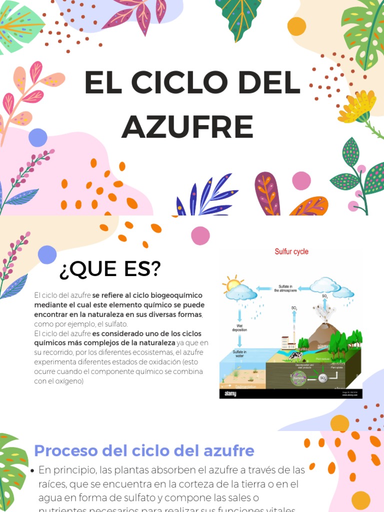 Ciclo del Azufre: Proceso e Importancia | PDF | Azufre | Suelo