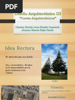 Idea Rectora Ejemplos | PDF
