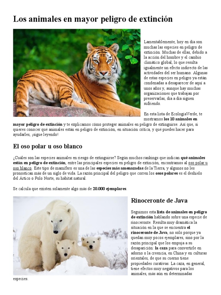 Los Animales en Mayor Peligro de Extinción | PDF | Temblores | Especie ...