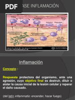 Etapas de La Inflamacion PDF | PDF | Inflamación | Inmunología