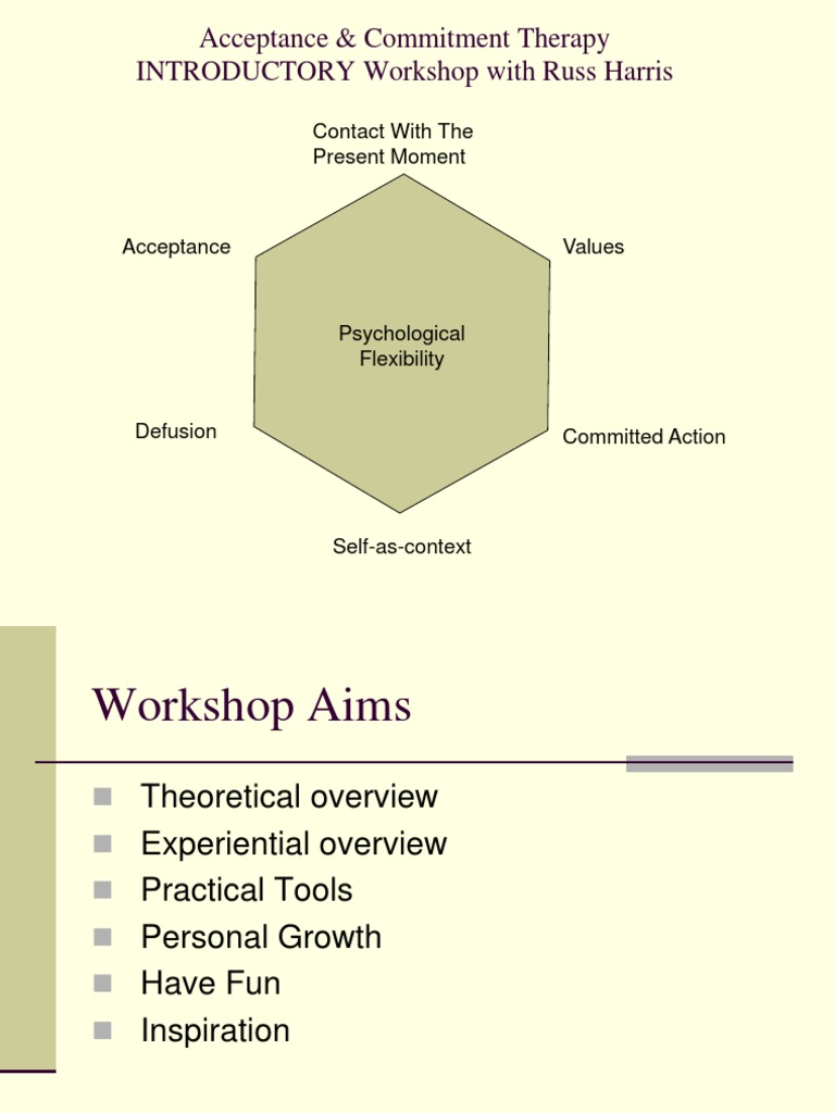 Acceptance & Commitment Therapy INTRODUCTORY Workshop With Russ Harris (PDFDrive) | PDF ...