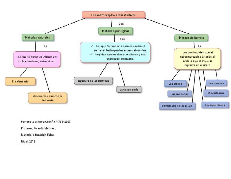 Mapa Conceptual | PDF
