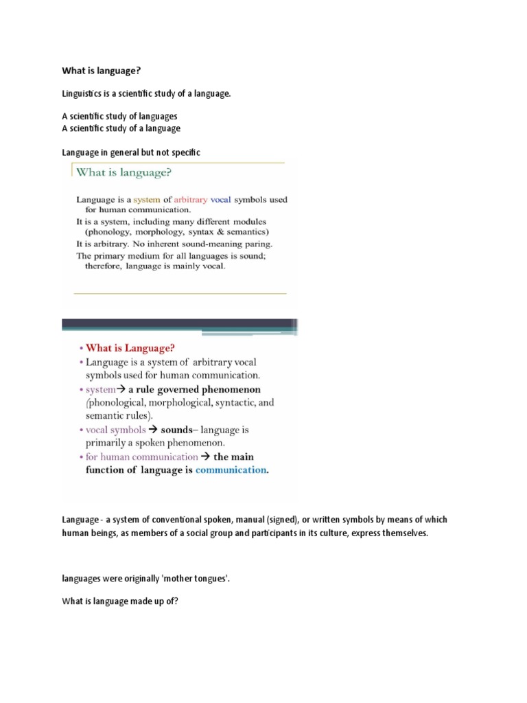 What Is Language | PDF