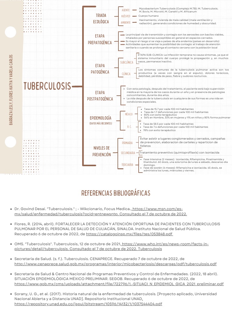 Hne Tuberculosis | PDF | Tuberculosis | Enfermedades y trastornos