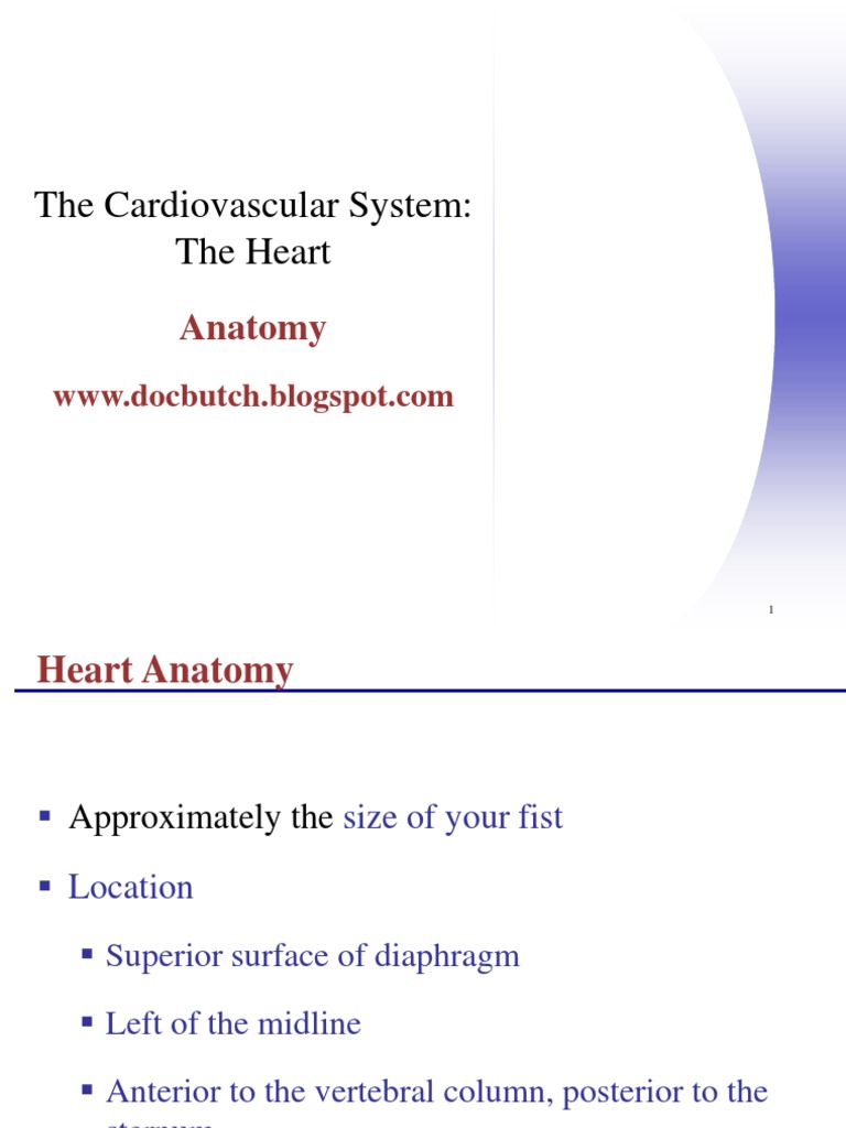 Cardiovascular-System-Anatomy-and-Physiology | PDF