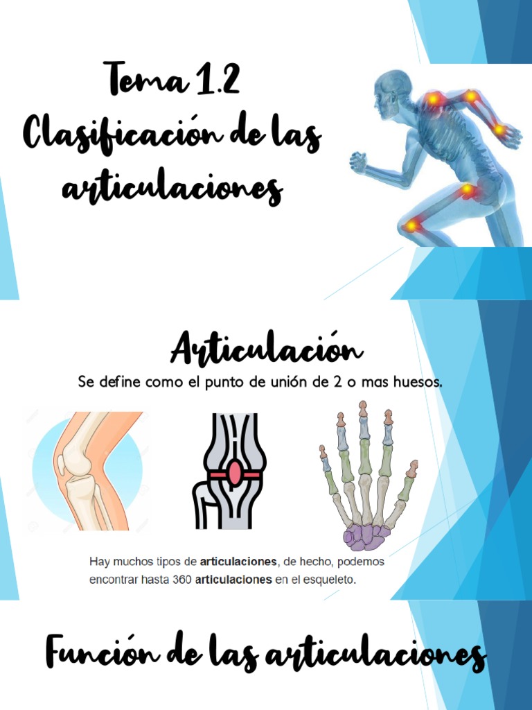 Articulaciones | PDF | Articulación | Sistema musculoesquelético