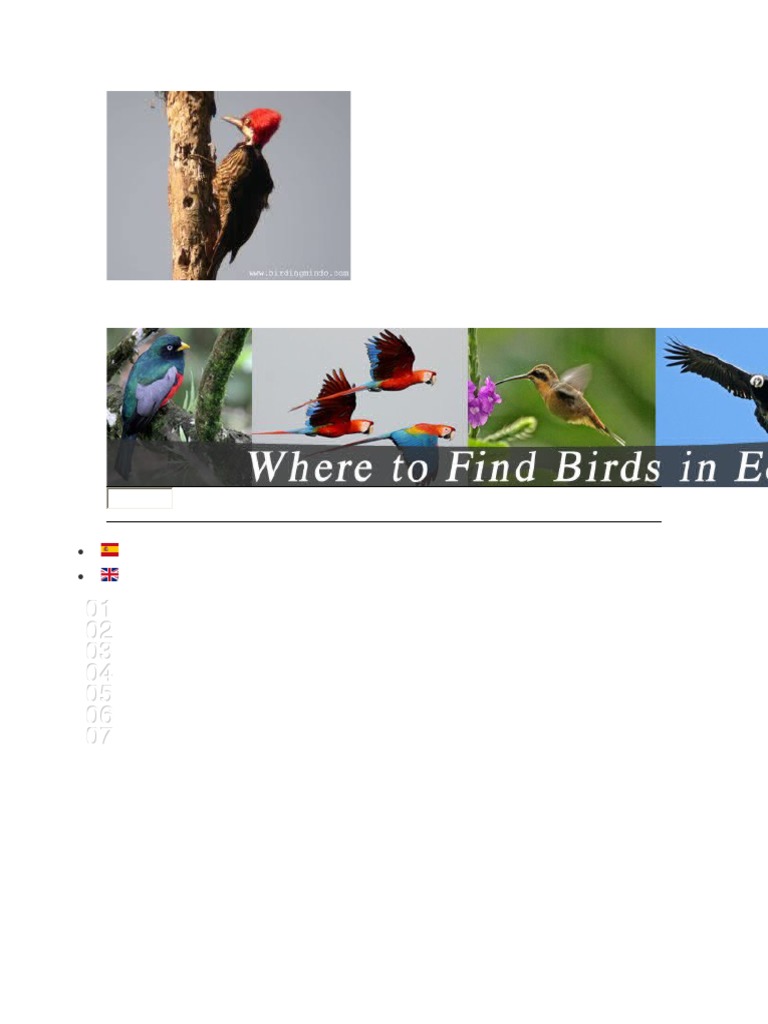Aves en Ecuador: Diversidad y Conservación | PDF | Ecuador | Aves