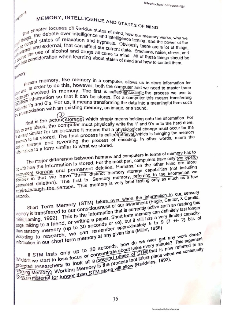 Memory and Intelligence | PDF