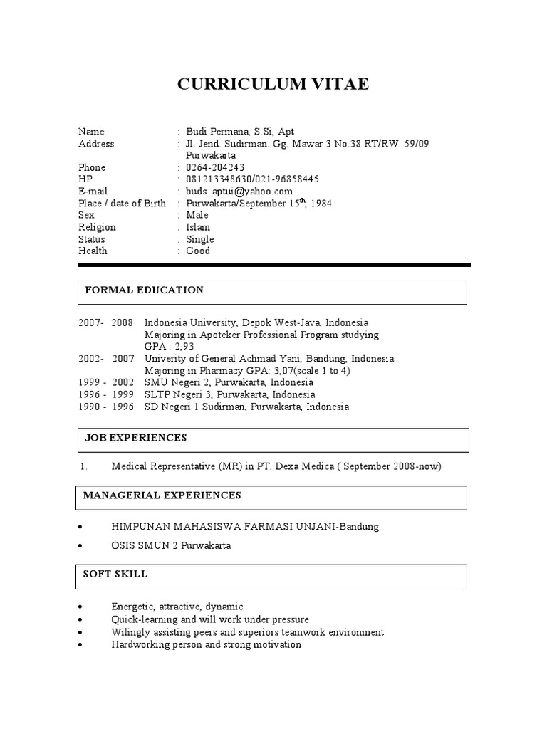 CV Budi 2 | PDF | Self-Improvement | Wellness