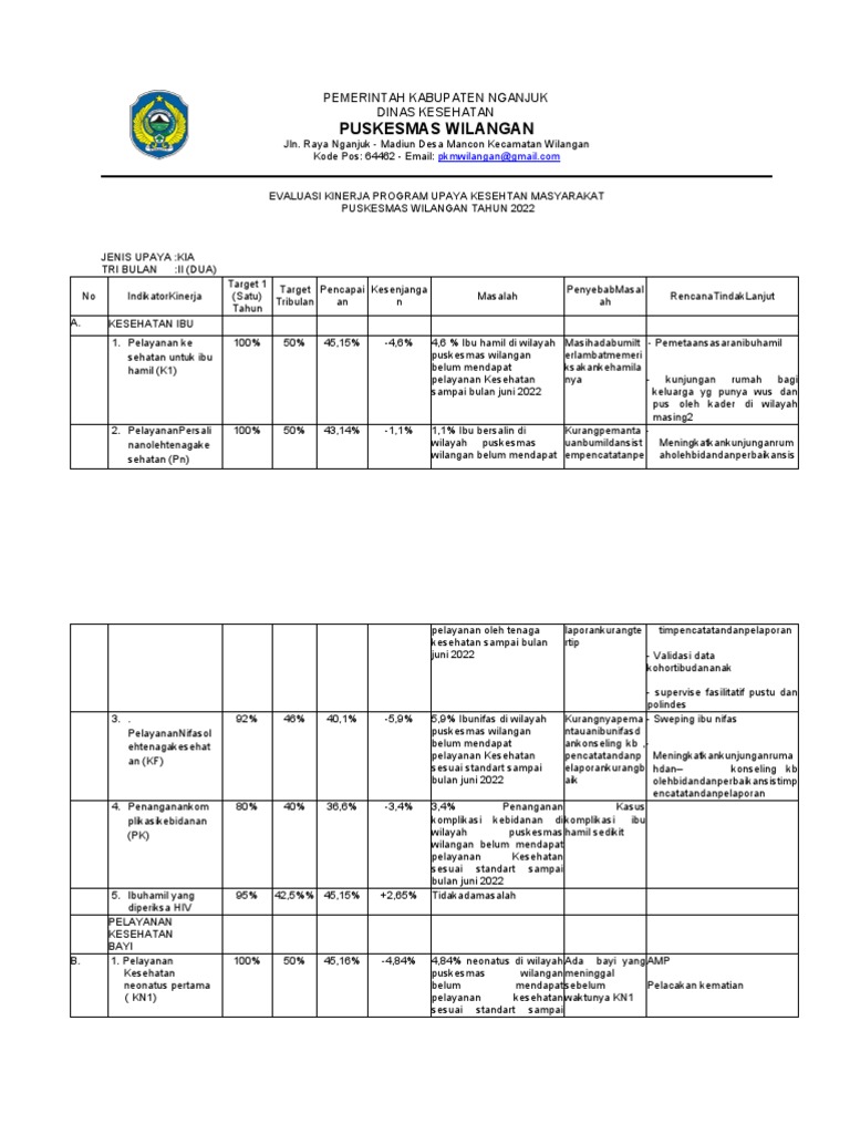 Form Evaluasi Kinerja Program | PDF