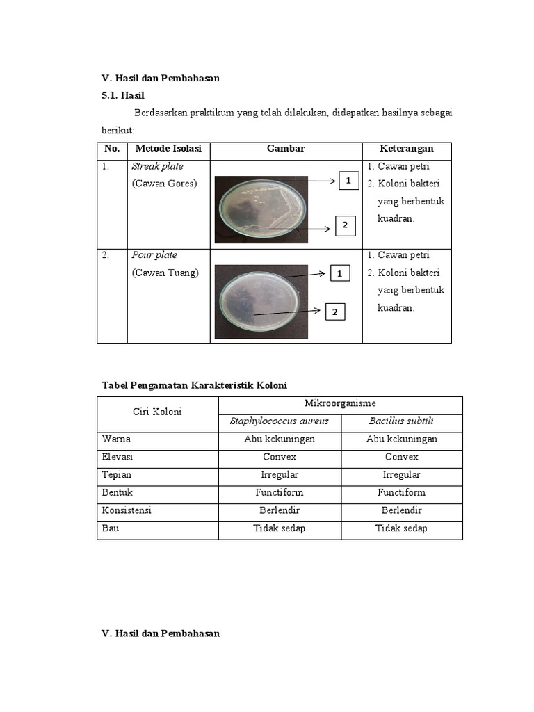Metode Streak Plate untuk Isolasi Bakteri | PDF