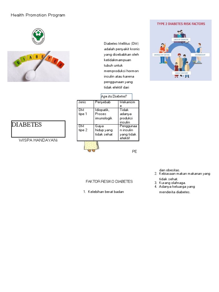 Leaflet DM Tipe 2 | PDF