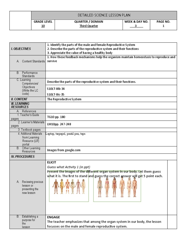 Lesson Plan Demo | PDF | Reproductive System | Human Body