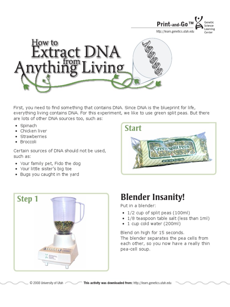 DNA Extraction | PDF | Ethanol | Chemistry