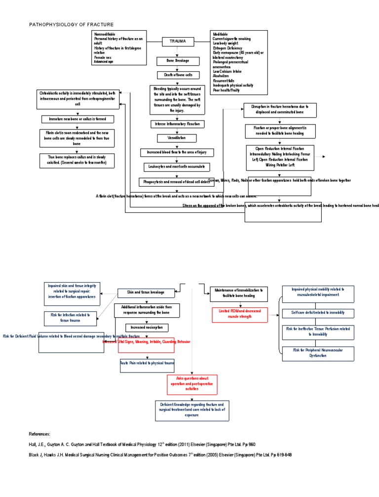 Pathophysiology of Fracture | PDF | Bone | Inflammation