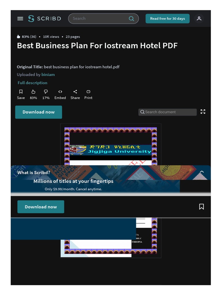 Best Business Plan For Iostream Hotel PDF: Download Now | PDF | Restaurants | Risk