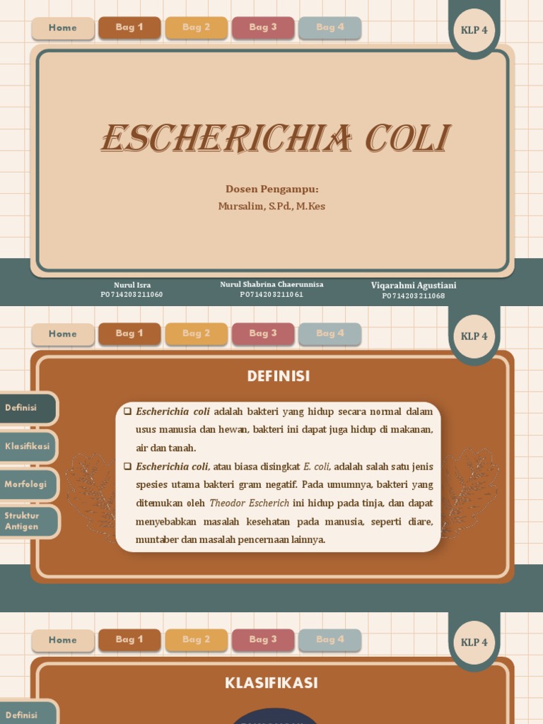 Kelompok 4 - Escherichia Coli Bakteriologi Ii | PDF
