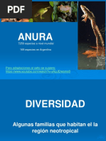 Rana Nodriza Niputidea: Especie y Origen | PDF | Taxonomía (biología ...