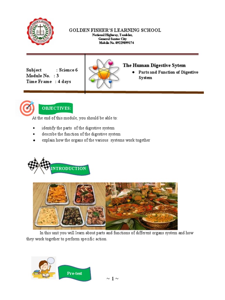 Understanding the Human Digestive System | PDF | Human Digestive System ...