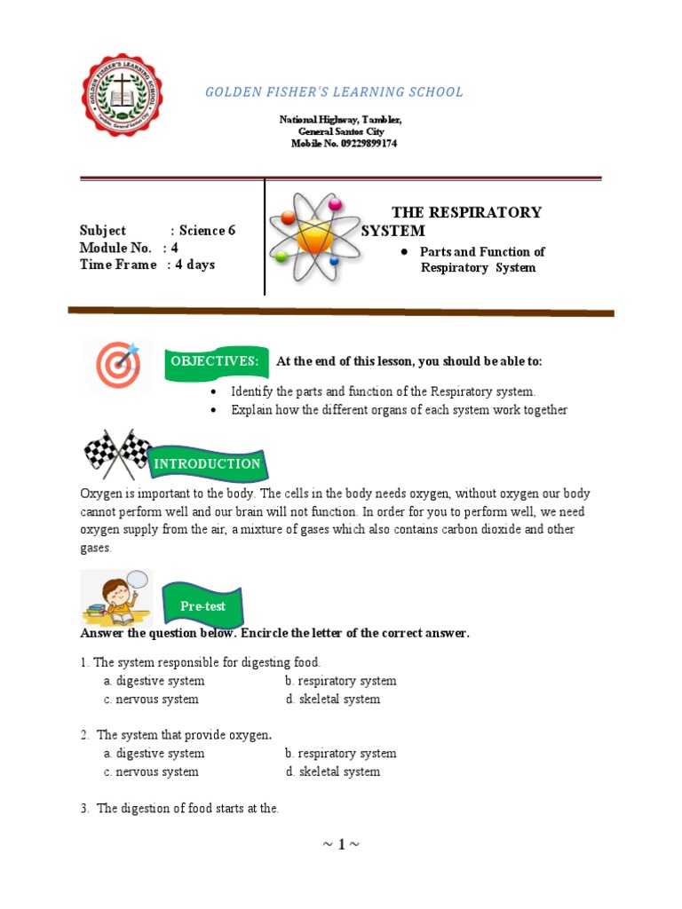 Understanding the Respiratory System | PDF | Respiratory Tract ...