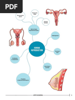 Class 10 Life Process Mind Map and Notes | PDF | Social Science ...